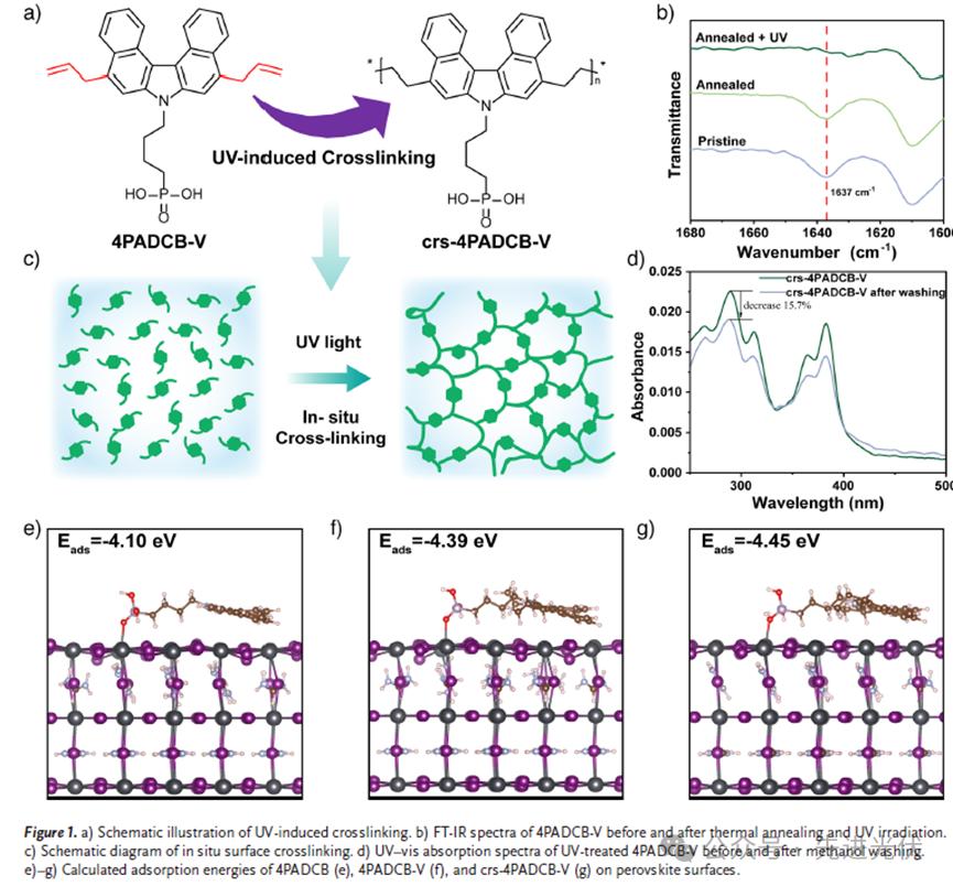 《Angew》南科大徐保民/王行柱&湘大闫磊：紫外诱导原位交联SAM新分子，破解SAMs不稳定性-索比光伏网