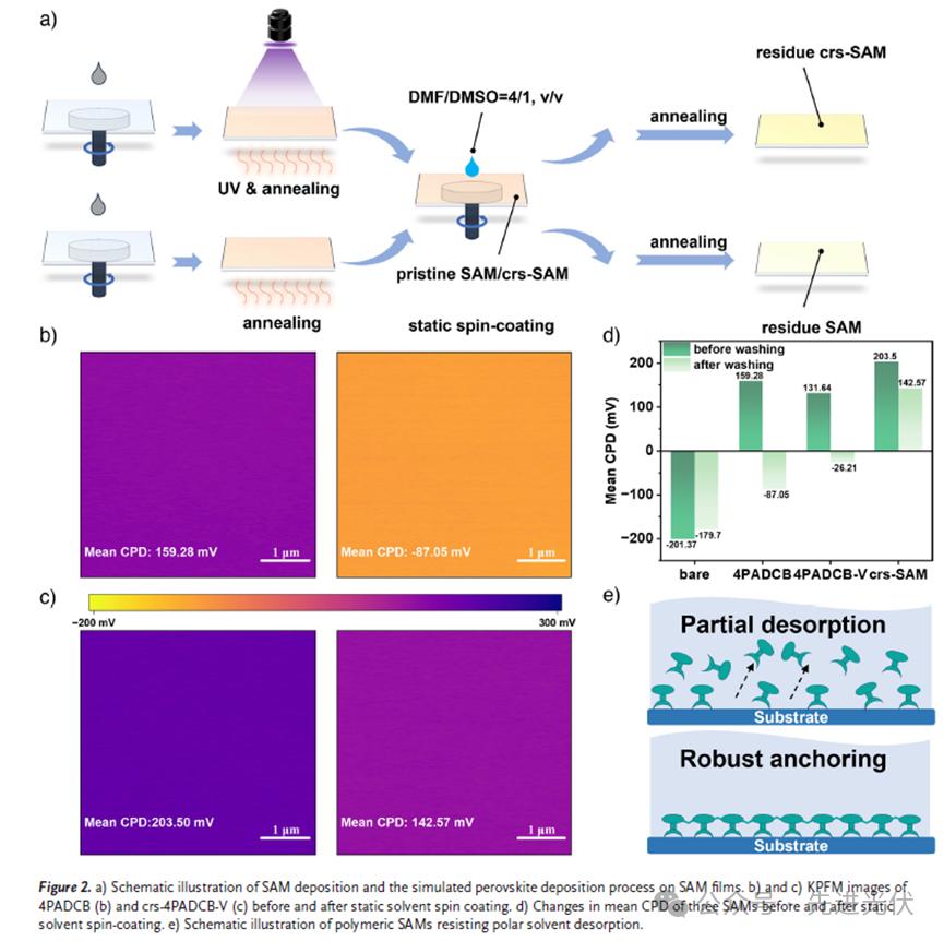 《Angew》南科大徐保民/王行柱&湘大闫磊：紫外诱导原位交联SAM新分子，破解SAMs不稳定性-索比光伏网